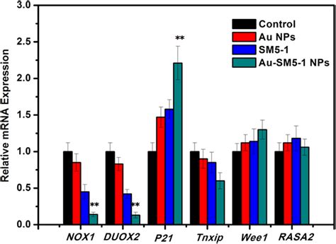Effects Of Au Nps Sm5 1 And Au Sm5 1 Nps Inhibition On The Relative