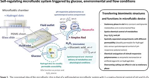 Figure 1 From Boosting Microfluidic Enzymatic Cascade Reactions With Ph