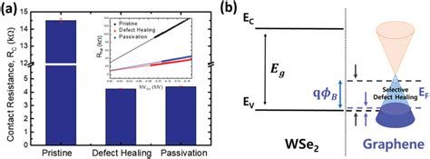 Contact Properties Of The Proposed Tfts A Extracted Contact