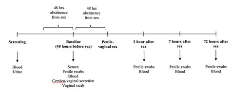 Overview Of The Study Protocol Download Scientific Diagram