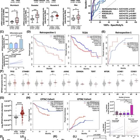 Spliceosome Components And Splicing Factors Are Altered In