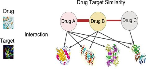in order to calculate the similarity between two drugs we extract the