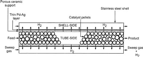 Schematic Representation Of The Co Current Catalytic Membrane Reactor