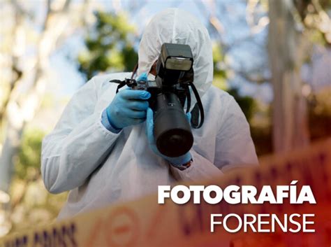 Cursos Cftc Internacional