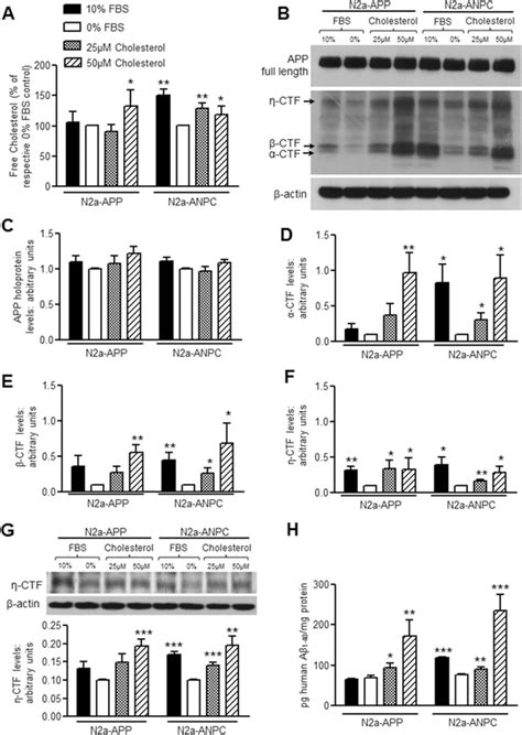 Cholesterol And App Processing A Histograms Depicting Cellular Levels Download Scientific