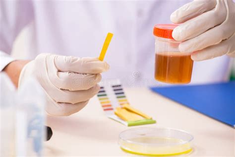 The Chemist In The Lab Checking With Ph Strips Stock Photo Image Of Doctor Alkaline