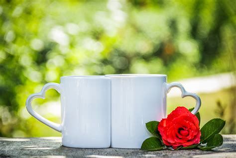 낭만적인 아침 마음과 빨간 장미와 함께 한 잔 로맨틱 티 파티입니다 야외 두 커피 컵 개념에 대한 스톡 사진 및 기타 이미지 개념 건강한 식생활 공휴일 Istock
