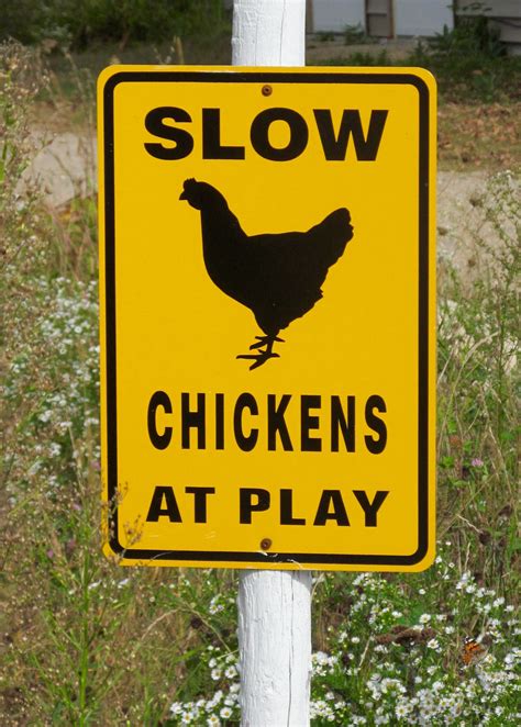 Funny Road Signs Printable Printables Templates Free