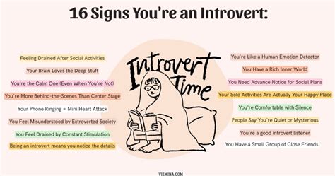 16 Signs Of An Introvert Types Myths And Famous Lessons
