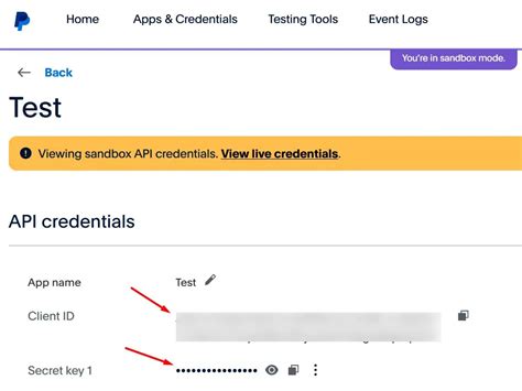 Paypal Payment Gateway Integration In Php Using Paypal Rest Api Artisans Web