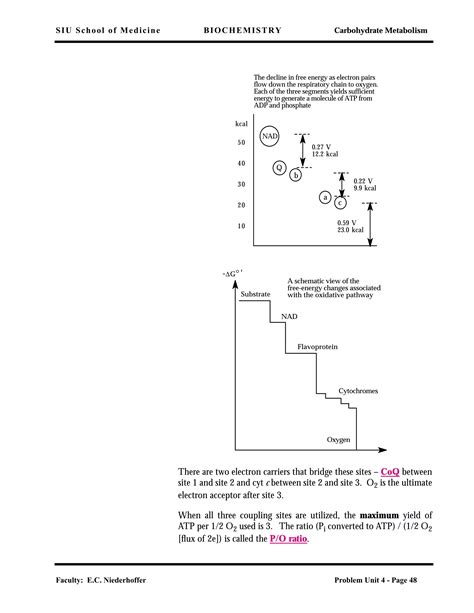 Biochemistry 150402010123 Conversion Gate01 Pdf