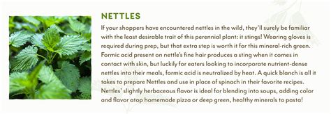 Oshala Farms Nettles — Organically Grown Company