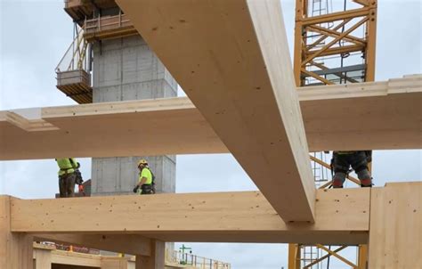 How To Ensure That Mass Timber Construction Is Not The Next Cladding Crisis Architecture