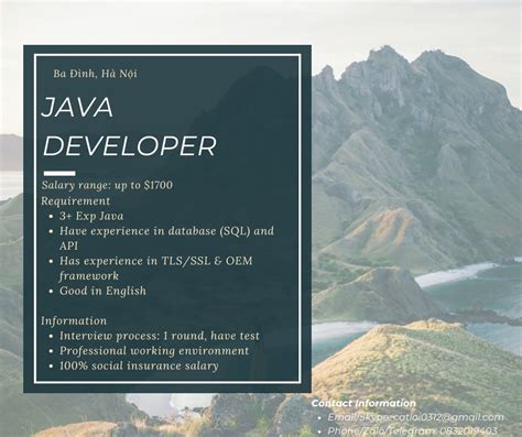 Tuyển Dụng Dev Java Net React Nodejs Vuejs HÀ NỘi
