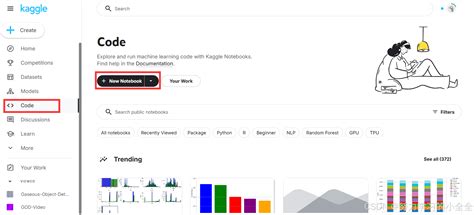 【kaggle训练模型】在kaggle上训练模型详细步骤 Csdn博客