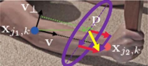 Paf On Multiple Overlapped Limbs P Is The Point Where The Unit Vector Download Scientific