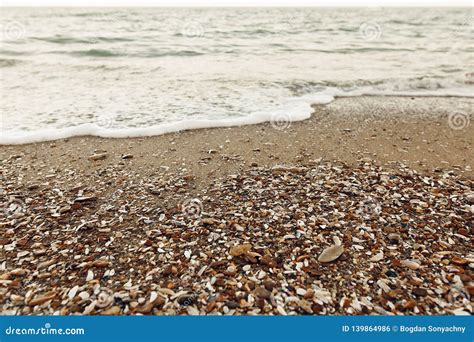 Sandy Beach With Shells Stones And Waves Seashore Close Up Summer