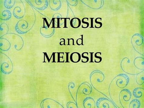 Mitosis Life Sciences For Grade 10`s Pptx Biological Sciences