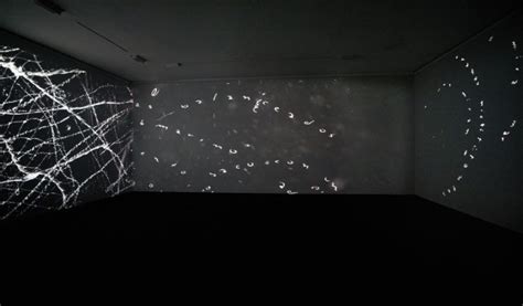 關於激情的性科學cacao 可口雜誌 cacaomag 關於激情的性科學cacao 可口雜誌 cacaomag