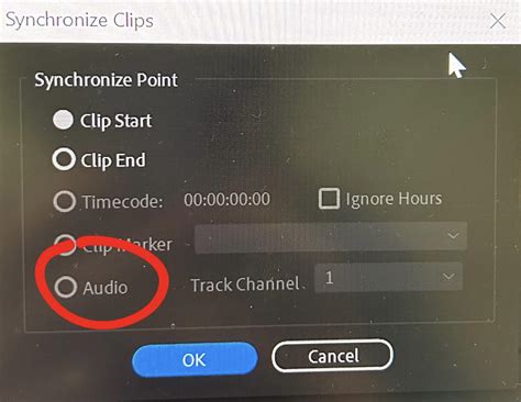 Sync Audio Button Adobe Product Community 14298966