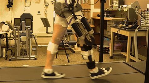 Design And Preliminary Assessment Of A Passive Elastic Leg Exoskeleton For Resistive Gait