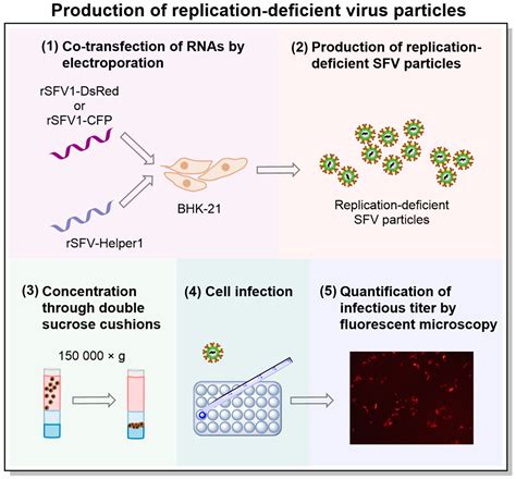 Virus Testing Methods At Bessie Luce Blog