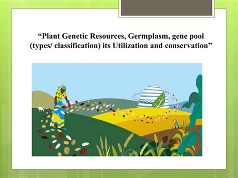 Plant Genetic Resources Germplasm Gene Pool Copypptx