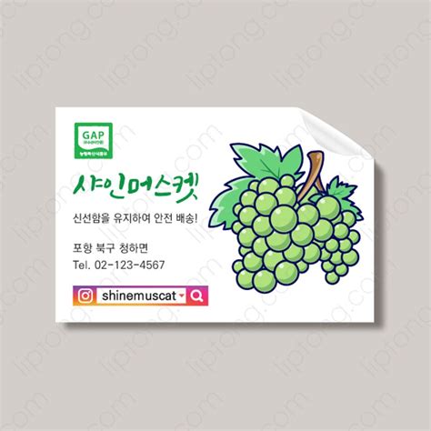 S 2247 샤인머스켓 스티커 과일스티커 제작 립통 디자인