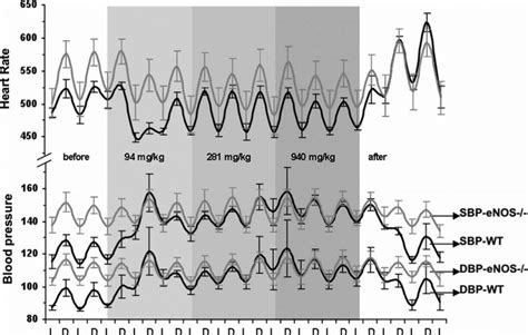 SBP And DBP MmHg And HR Bpm As Monitored By Radiotelemetry In WT Download Scientific