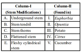 Match The Following Stem Modifications Given In Column I With Their Examp