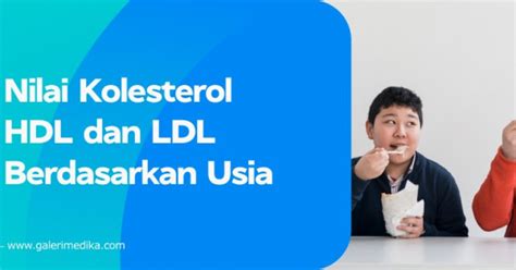 Nilai Kolesterol HDL Dan LDL Berdasarkan Usia Galeri Medika