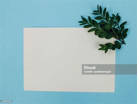 빈 종이 카드 흰색 초라한 테이블 배경에 분기 실물 하 크기 데스크톱 모형 빈 공간입니다 포토 웹 배너 스타일입니다 평면 배치 개념에 대한 스톡 사진 및 기타 이미지