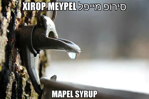 Mnemonic Hebrew Maple Syrup