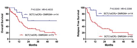 Efficacy Of Allogeneic Stem Cell Transplantation In First Remission For
