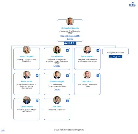Hilton S Organizational Structure [interactive Chart] Organimi