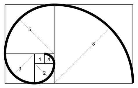 Fibonacci Là Gì Ứng Dụng Dãy Số Fibonacci Vào Trading