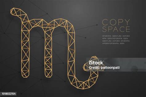 전갈 자리 조디악 로그인 와이어 프레임 다각형 골든 프레임 구조 포춘 텔러 컨셉 디자인 그림 복사 공간 벡터 Eps 10 블랙