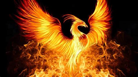 Галт шувуу Home Facebook