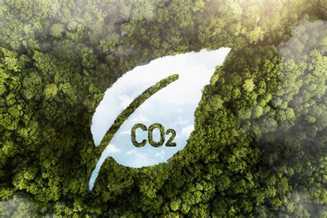 Pakar Lingkungan Unair Ungkap Carbon Capture Storage Ccs Butuh Strategi Dan Regulasi Yang