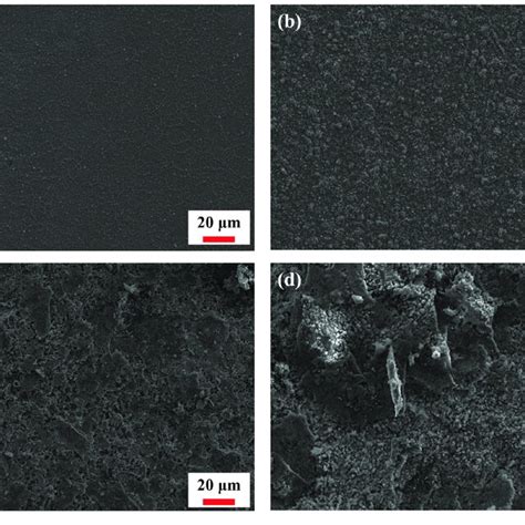 Surface Morphologies After Oxidation For Time Of 100 H At Temperatures