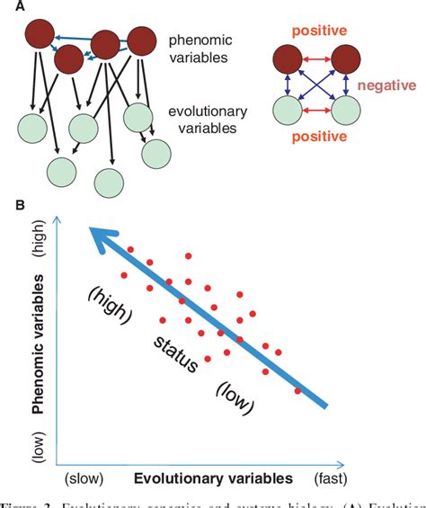 Figure 1 From Survey And Summary Darwinian Evolution In The Light Of