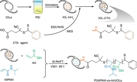 Schematic Illustration Of The Synthesis Of The P NIPAM Co AA