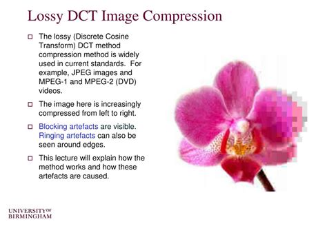 Ppt Multimedia Data The Dct And Jpeg Image Compression Powerpoint