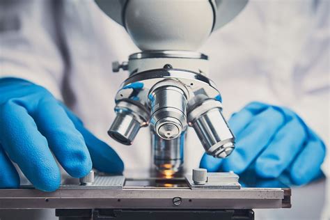 How Reflective Scales Help Scientists Push The Boundaries Of Discovery