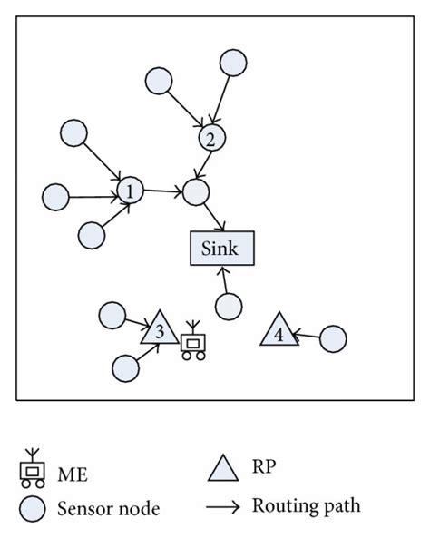 Different Data Forwarding Patterns When Different Rps Are Selected