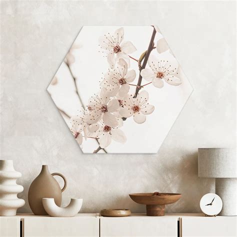 Sekskantet Billede Gren Med Hvide Kirsebærblomster Sisi And Seb Alu