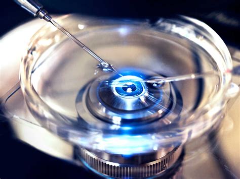 Baby Making Could Move From The Bedroom To The Lab Shots Health News NPR