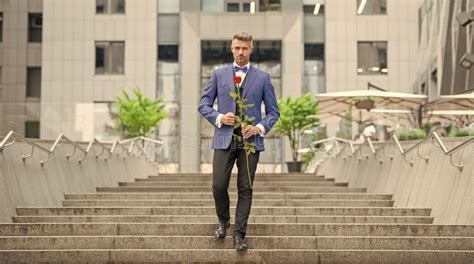 Elegant Man In Tux Man Wearing Tux Bowtie Outdoor Stock Image Image