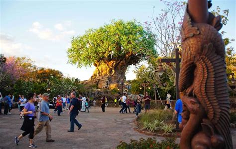 How To Avoid Crowds At Disneys Animal Kingdom