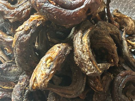 4 Pcs Round Kpanla Fish Eja Kika Etsy